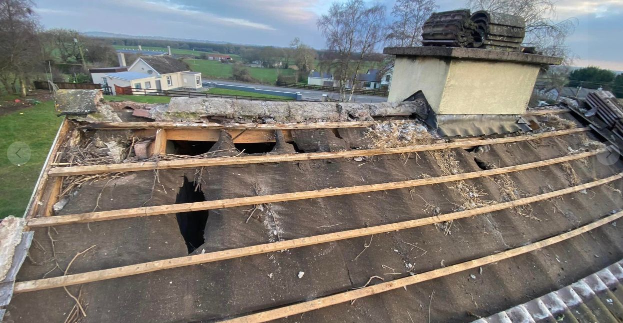 Home - Next Level Roofing